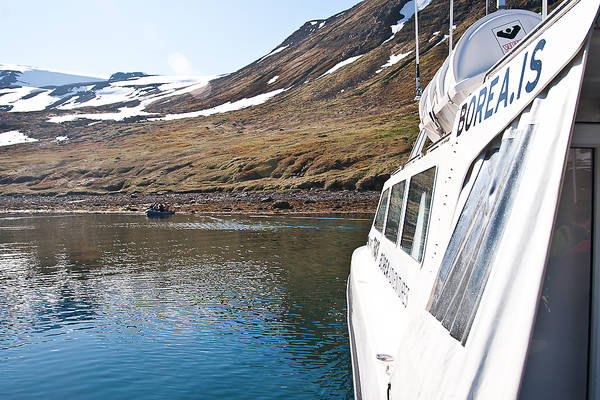 New day trip to Hornstrandir Nature Reserve | Borea Adventures
